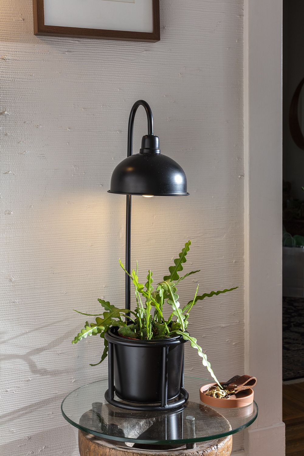 Kira Grow Light Plant Stand 8" x 28" By Accent Decor – Modish Store