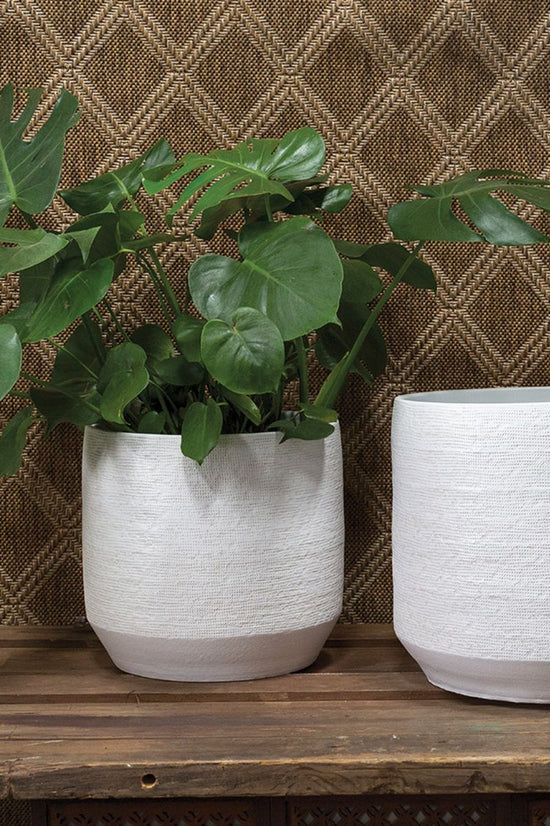 Ray Pot By Accent Decor – Modish Store