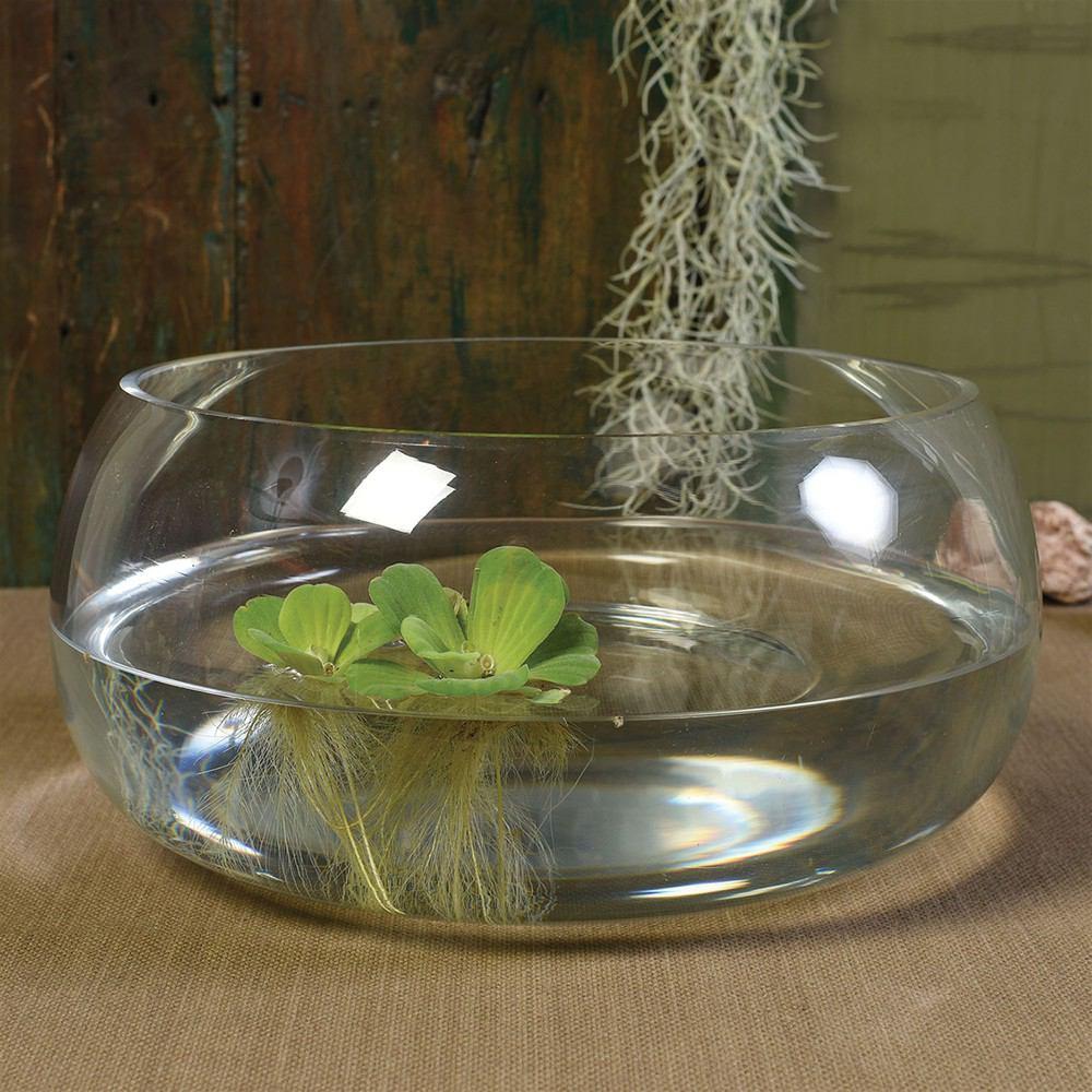 HomArt Glass Pond -Clear – Modish Store