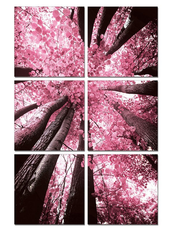 24" Canvas 6 Panels Blossom Trees Color Photo By Homeroots – Modish Store