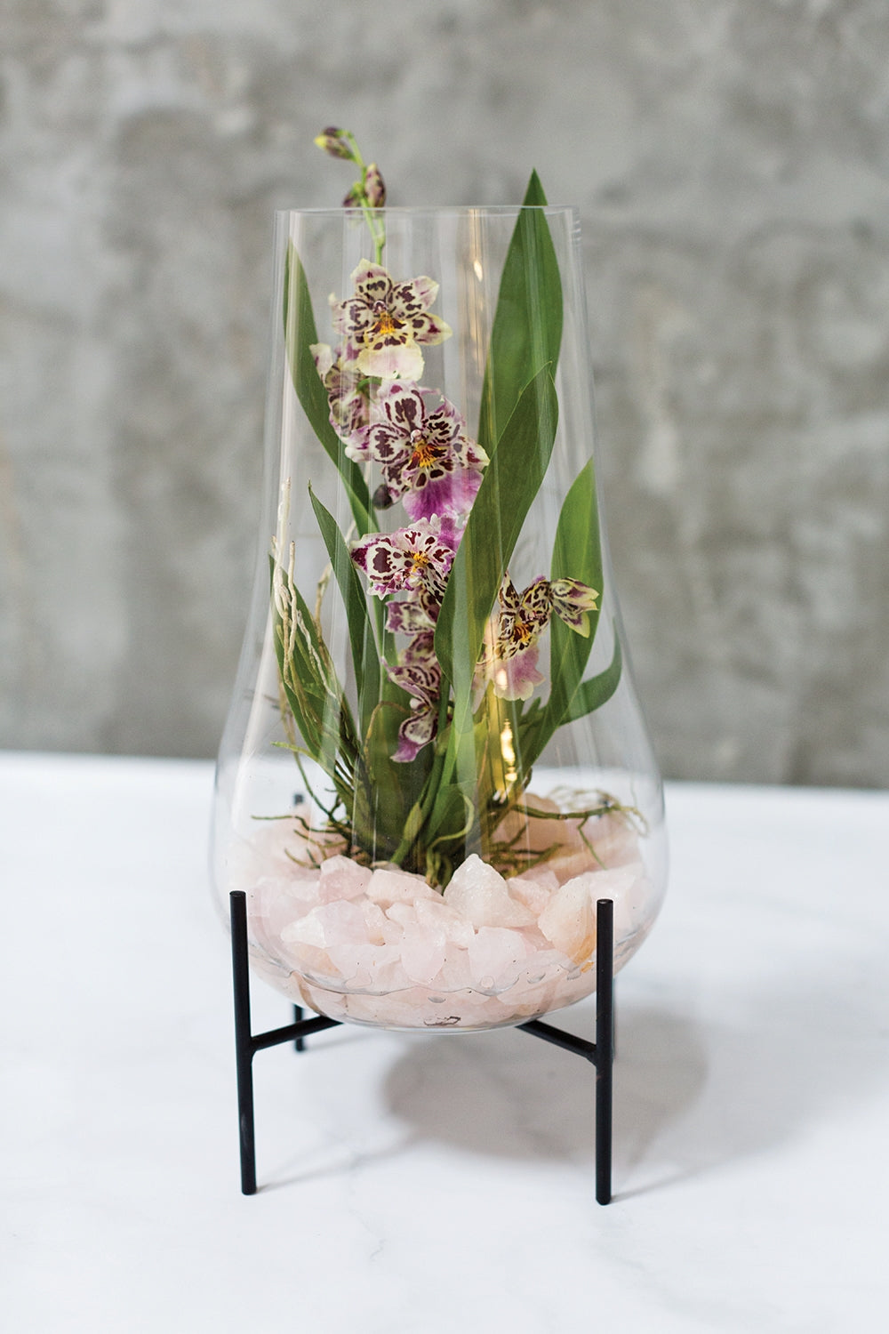 Venture Stand Set Of 4 By Accent Decor - 2 Sizes - Clear - Glass, Iron ...