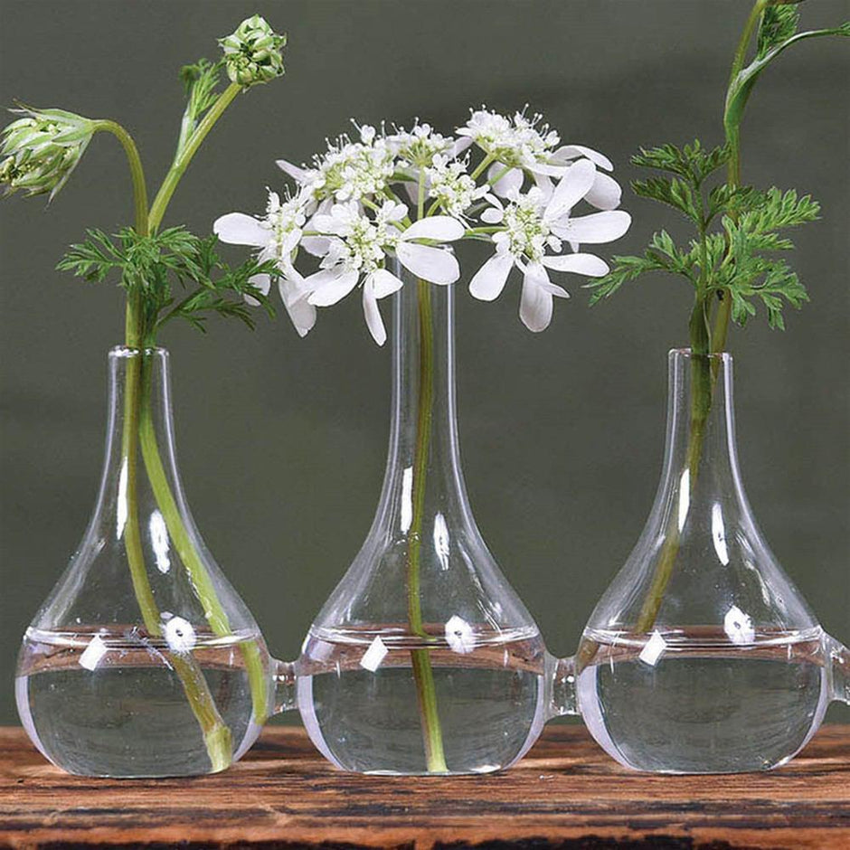 HomArt Vases – Modish Store