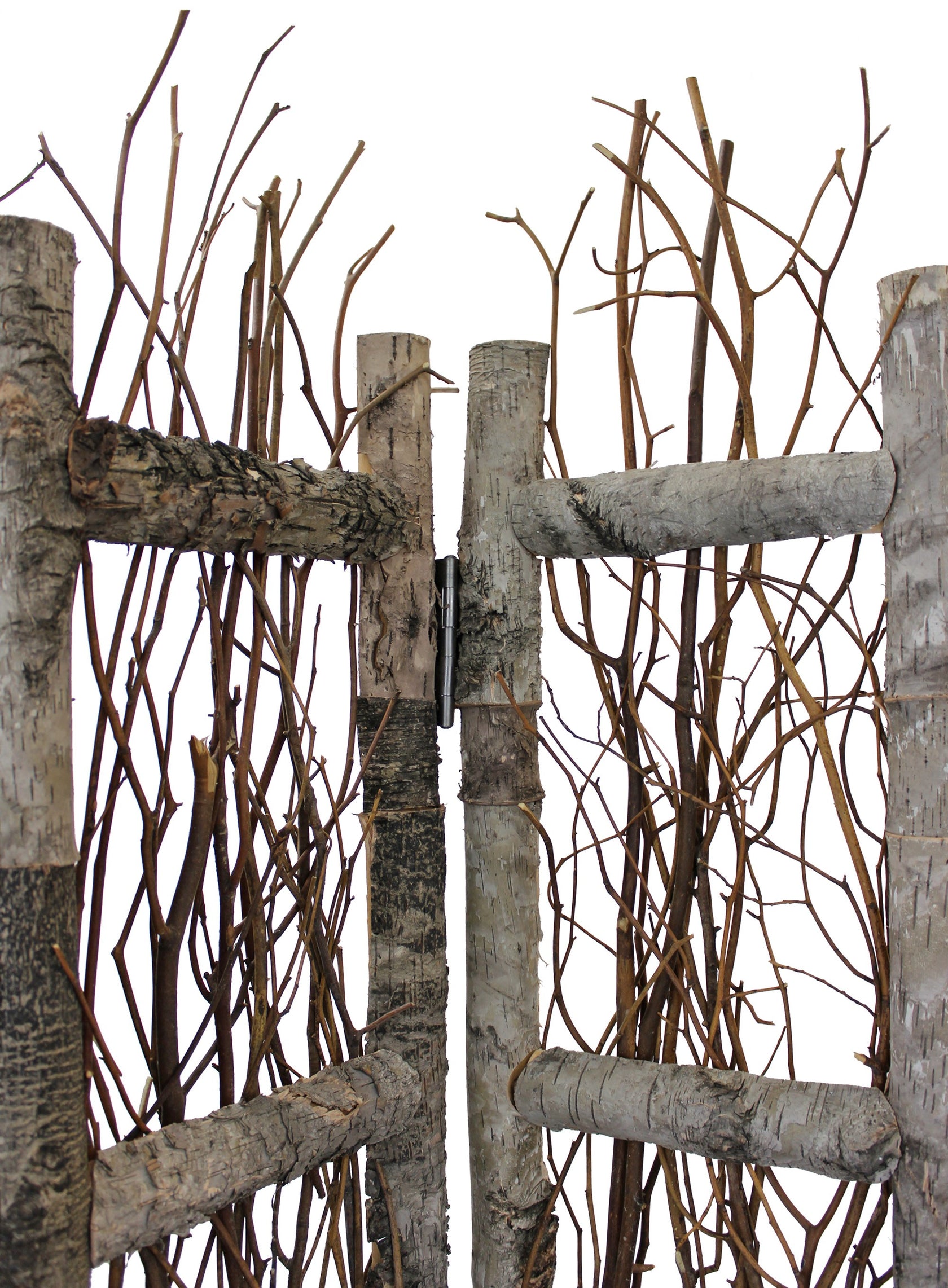 Earthy Birch And Twig Four Panel Room Divider Screen By Homeroots ...