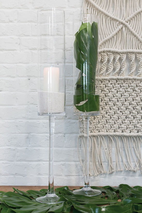 Amaryllis Vase Set Of 2 By Accent Decor - 3 Sizes - Clear - Glass ...