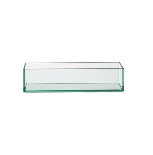Vision Vase-Trough-Clear by Texture Designideas - Clear – Modish Store