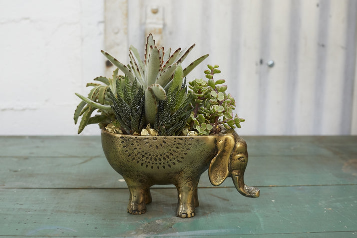 Ezzie Elephant Pot Set Of 2 By Accent Decor - Yellow - Metal - 75200 ...
