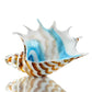 AG Striped Conch Shell By SPI Home - 8in Height – Modish Store