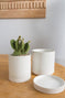 Romey Pot 5"x 5.75" Set Of 4 By Accent Decor – Modish Store