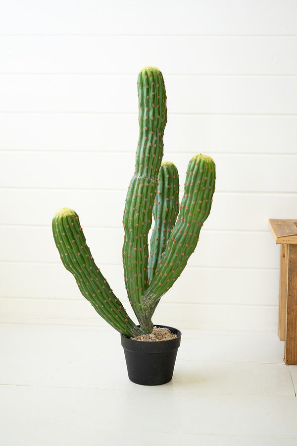 Artificial Multi Trunk Cactus In A Plastic Pot By Kalalou - Green ...