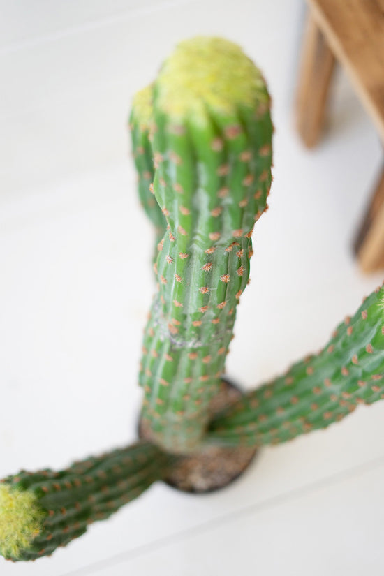 Artificial Multi Trunk Cactus In A Plastic Pot By Kalalou - Green ...