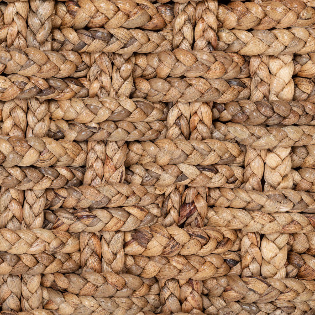 Safavieh Gregory Water Hyacinth Chair - Natural – Modish Store