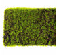 Green Wall, 'New Moss', Strip by Gold Leaf Design Group – Modish Store