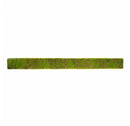 Green Wall, 'New Moss', Strip by Gold Leaf Design Group – Modish Store