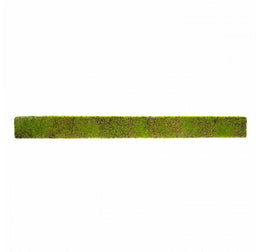 Green Wall, 'New Moss', Strip by Gold Leaf Design Group – Modish Store