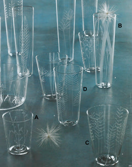 Etched Botanical Glassware - Set Of 6 – Modish Store
