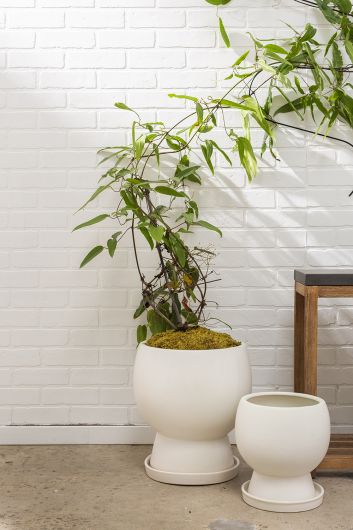 Bosky Pot By Accent Decor - White - Ceramic - 51395 – Modish Store