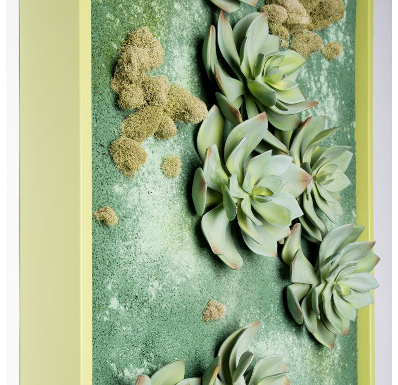 Green Wall, 'Grapto Ghost' by Gold Leaf Design Group - Green – Modish Store