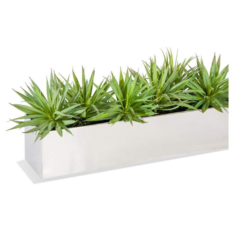 Stainless Steel Table Planter, Mini Yucca by Gold Leaf Design Group ...