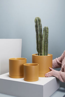 Romey Pot 4.25"x 4.75" Set Of 4 By Accent Decor – Modish Store